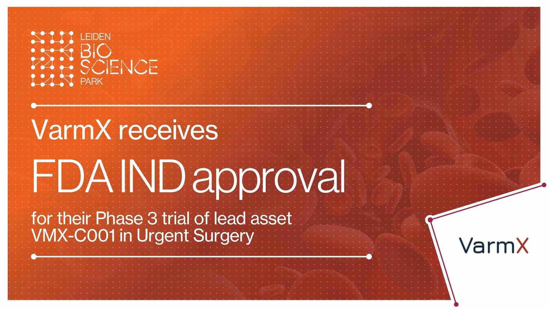 VarmX Secures IND Approval for Phase 3 Trial of VMX-C001 in Emergency ...