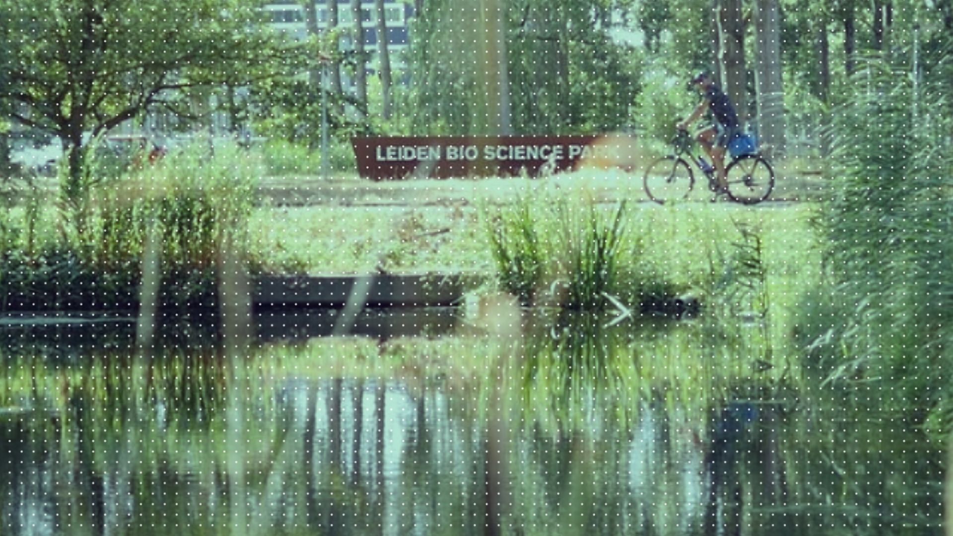 VarmX Secures IND Approval for Phase 3 Trial of VMX-C001 in Emergency ...